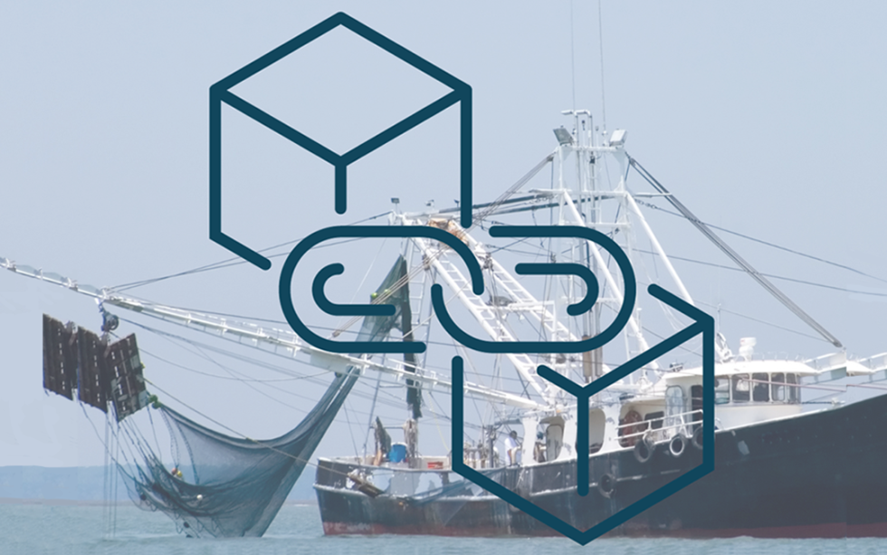 Strengthening Transparency in Seafood Supply Chains with Blockchain ...