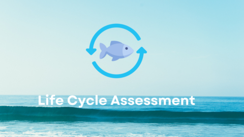 General overview of Life Cycle Assessment (LCA) in the industry: origin ...